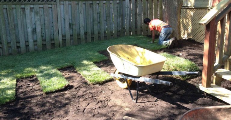 How Much Does Sodding Cost? - Sodding Canada Pricing Guide