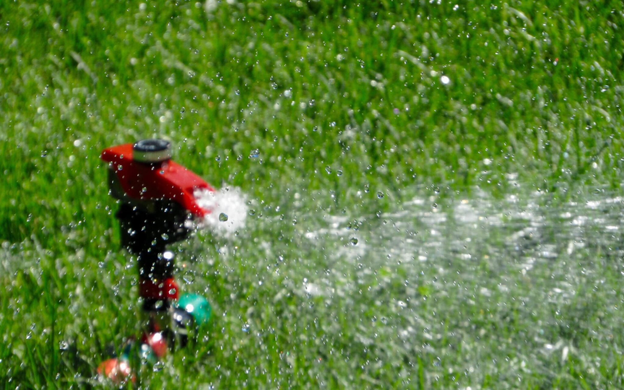 How Much Does Sodding Cost? - Sodding Canada Pricing Guide