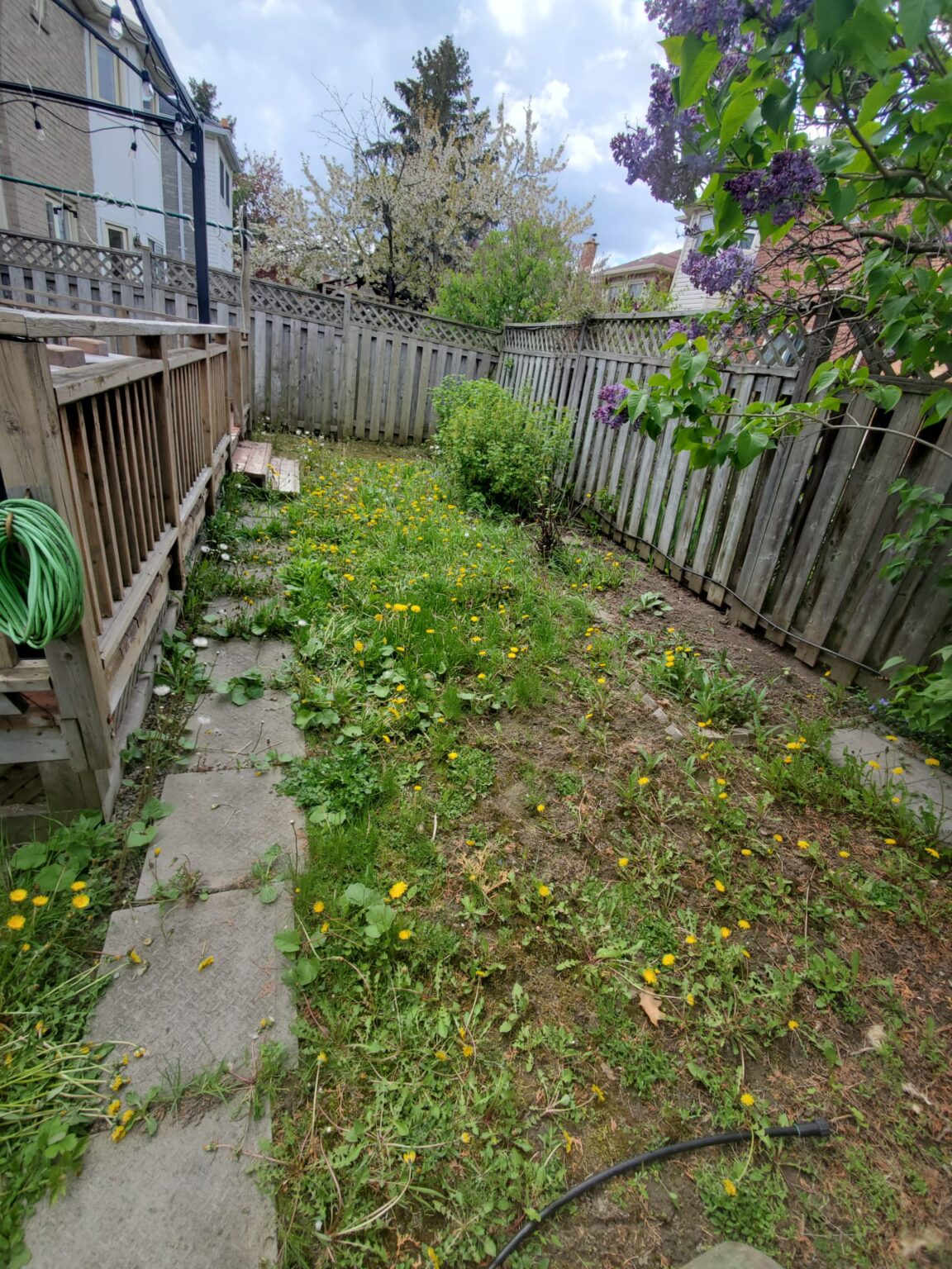 Lawn Sod Installation in Toronto & the GTA | Sodding Canada