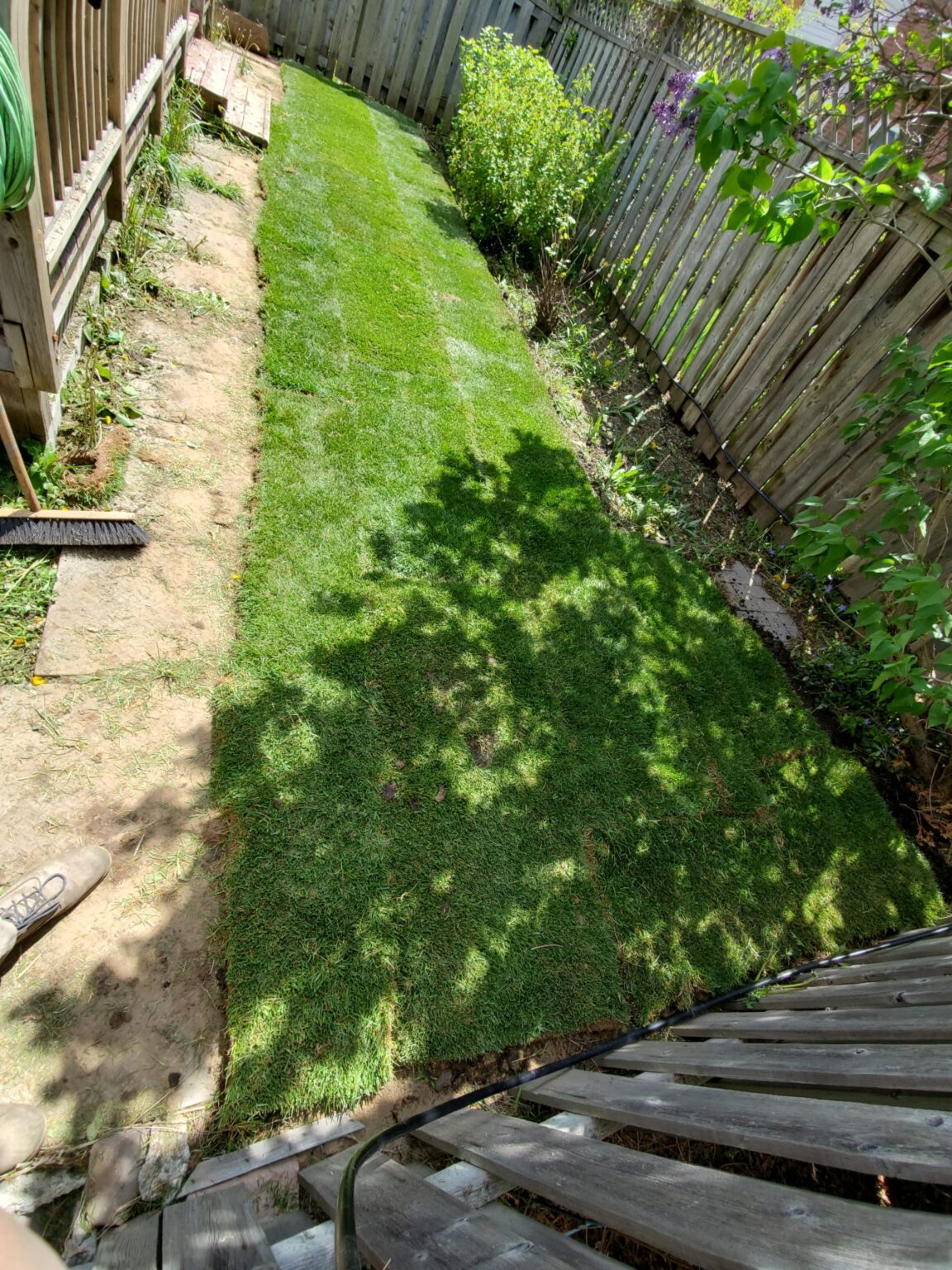 Lawn Sod Installation in Toronto & the GTA | Sodding Canada