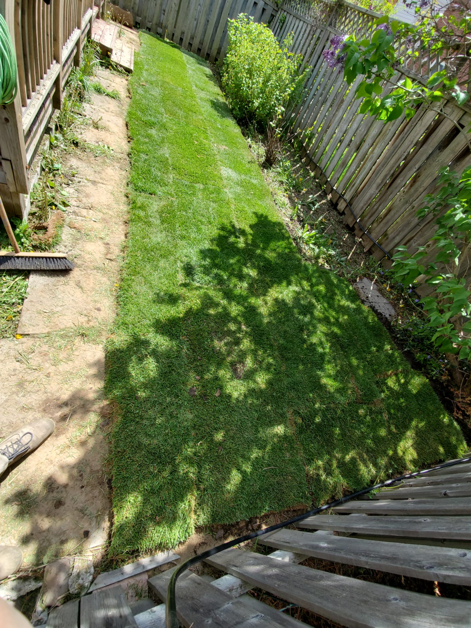 Lawn Sod Installation in Toronto & the GTA | Sodding Canada