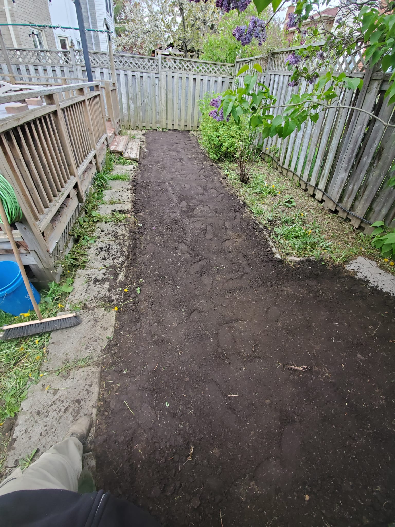 Lawn Sod Installation in Toronto & the GTA | Sodding Canada