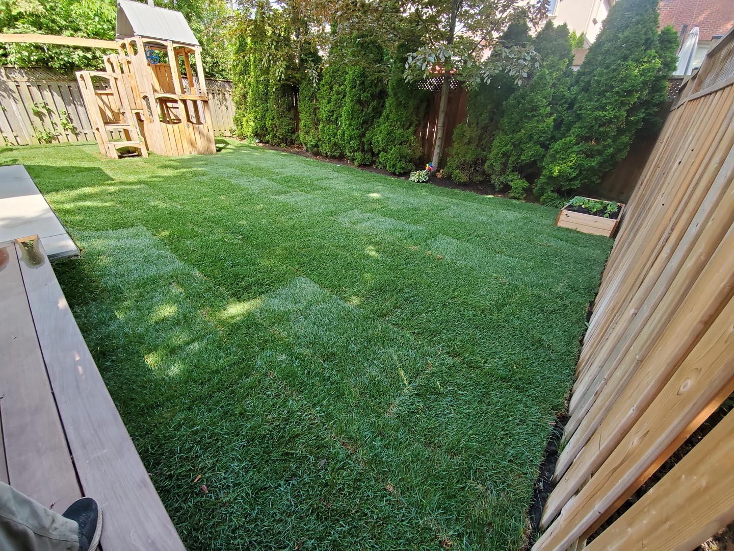 Expert Sodding Canada Portfolio - Transform Your Lawn
