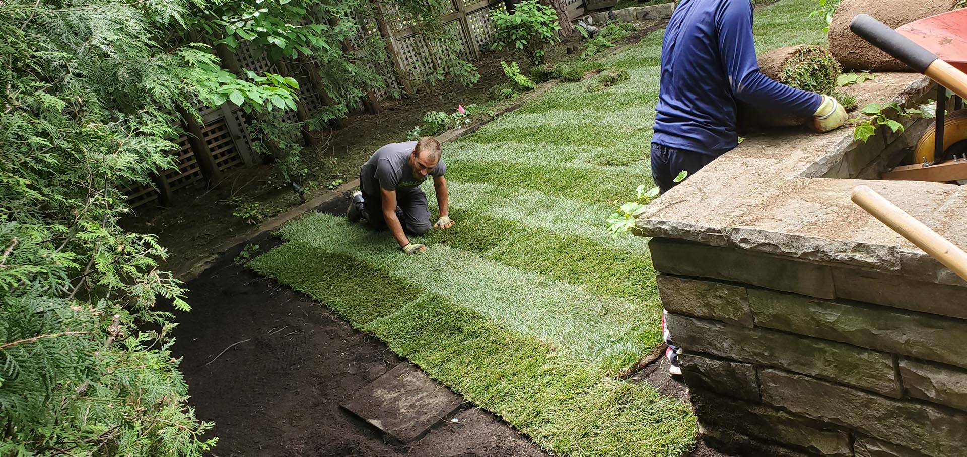 Lawn Sod Install & Replacement King City | Sodding Canada