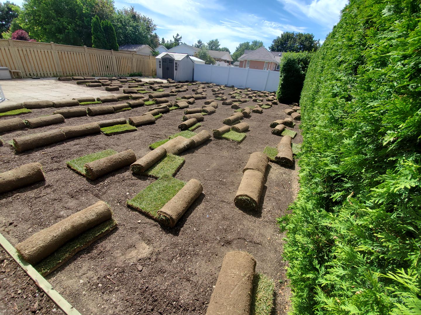 Lawn Sod Installation in Toronto & the GTA | Sodding Canada