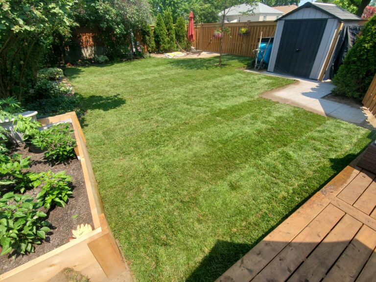 How Much Does Sodding Cost? - Sodding Canada Pricing Guide