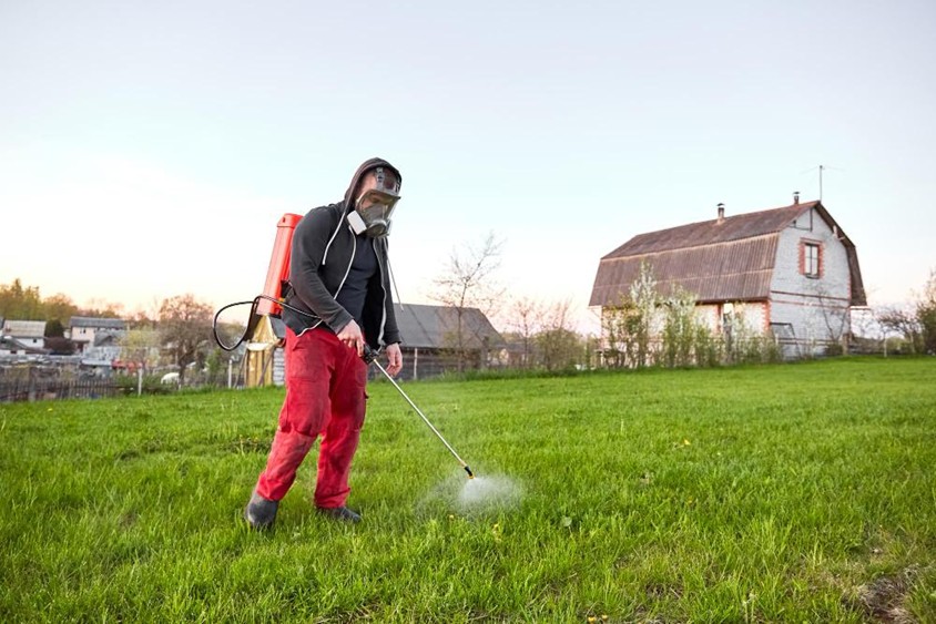 Common Lawn Diseases and Prevention | Sodding Canada