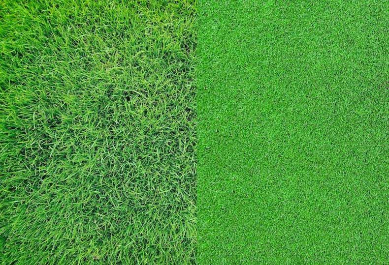 Sod vs. Artificial Turf | Sodding Canada