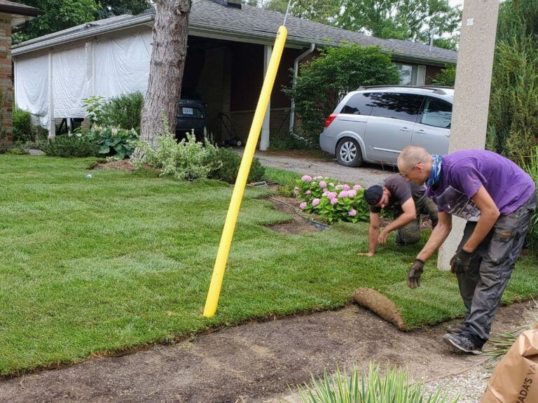 How Much Does Sodding Cost? - Sodding Canada Pricing Guide